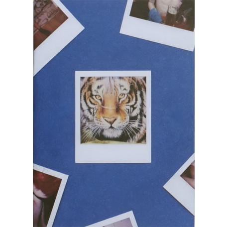 Tiger | BestPrice.gr