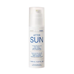 Apis Natural Cosmetics Aloe Vera After Sun Gel Προσώπου & Σώματος 300ml ...