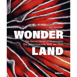 Wonderland - Jan Vermeer | BestPrice.gr