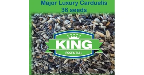 Hobby First King Major Luxury 1kg | BestPrice.gr