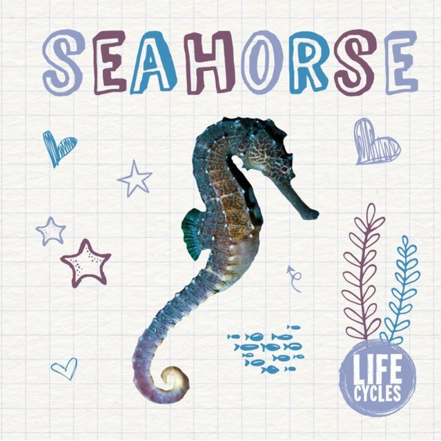 Seahorse | BestPrice.gr