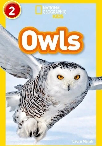 Owls | BestPrice.gr