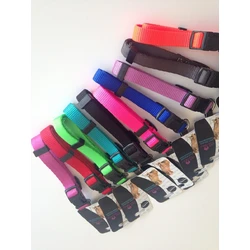 Pet Camelot Κολάρο Σκύλου Γκρι 2.5x60cm 4565 | BestPrice.gr