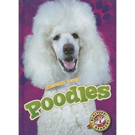 Poodles | BestPrice.gr
