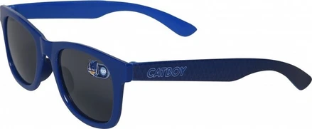 Stamion Pj Masks CatBoy Παιδικά Γυαλιά Ηλίου Polarized Μπλε PJ98004D ...