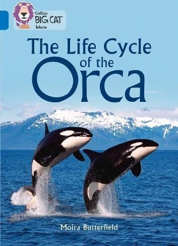 The Life Cycle of the Orca - Moira Butterfield | BestPrice.gr