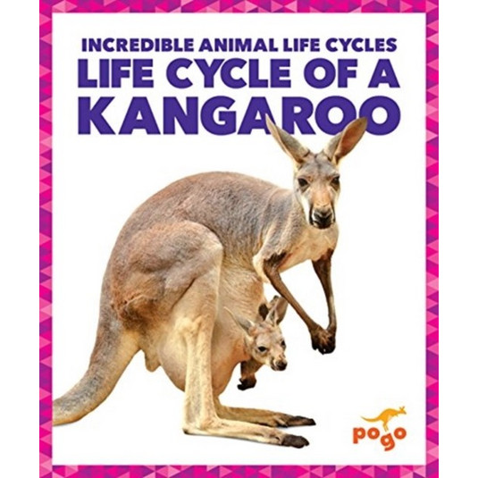 Life Cycle of a Kangaroo | BestPrice.gr