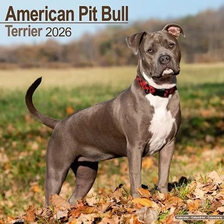 American Pit Bull Terrier Calendar 2026 | BestPrice.gr