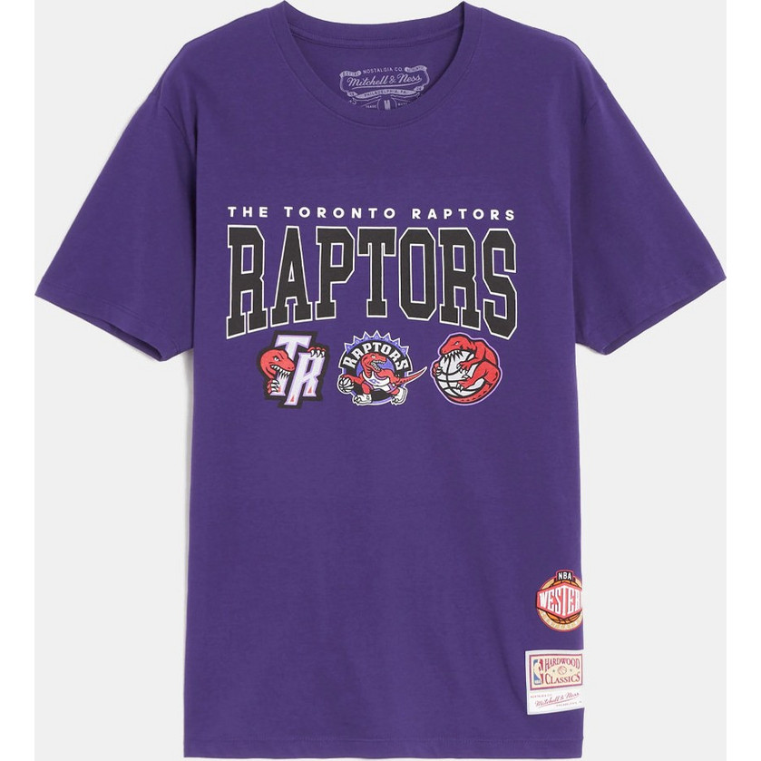 Mitchell & Ness NBA HWC Champ Toronto Raptors BMTRINTL1262-TRAPURP ...