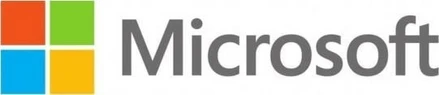 Microsoft Project Standard 2024 Πολύγλωσσο Συμβατό με Windows για 1 ...