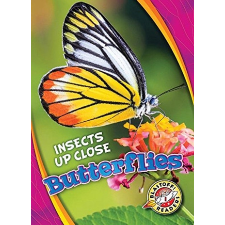 Butterflies | BestPrice.gr