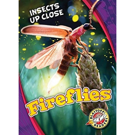 Fireflies | BestPrice.gr