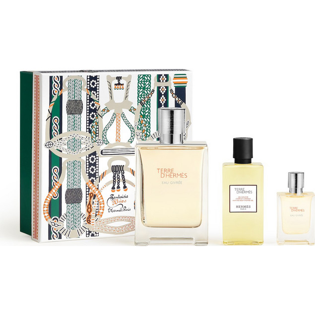 Hermes Terre D'Hermes Eau de Parfum 100 ml + 12.5ml + Shower Gel 80 ml | BestPrice.gr
